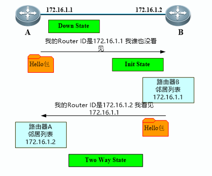 ospf协议基础详解_ospf network-CSDN博客