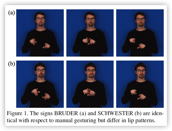 Spatial-Temporal Multi-Cue Network for Continuous Sign Language Recognition_distilling cross ...