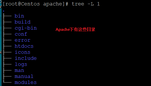 Apache的目录结构详细讲解_apache 打开是文件目录-CSDN博客