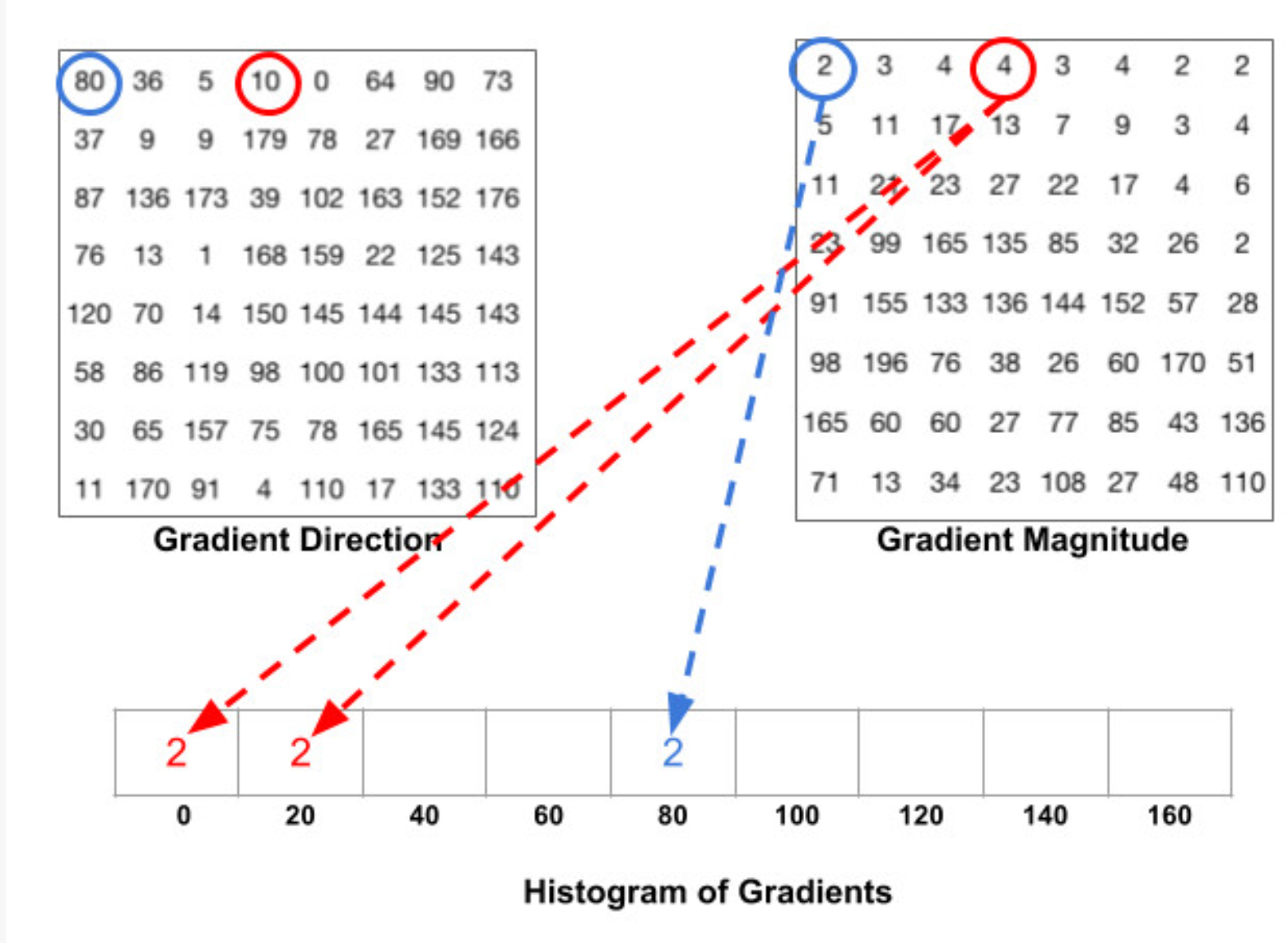 Sobel算子--Hog-方向梯度直方图（Histogram Of Gradient）_sobel算子计算梯度-CSDN博客