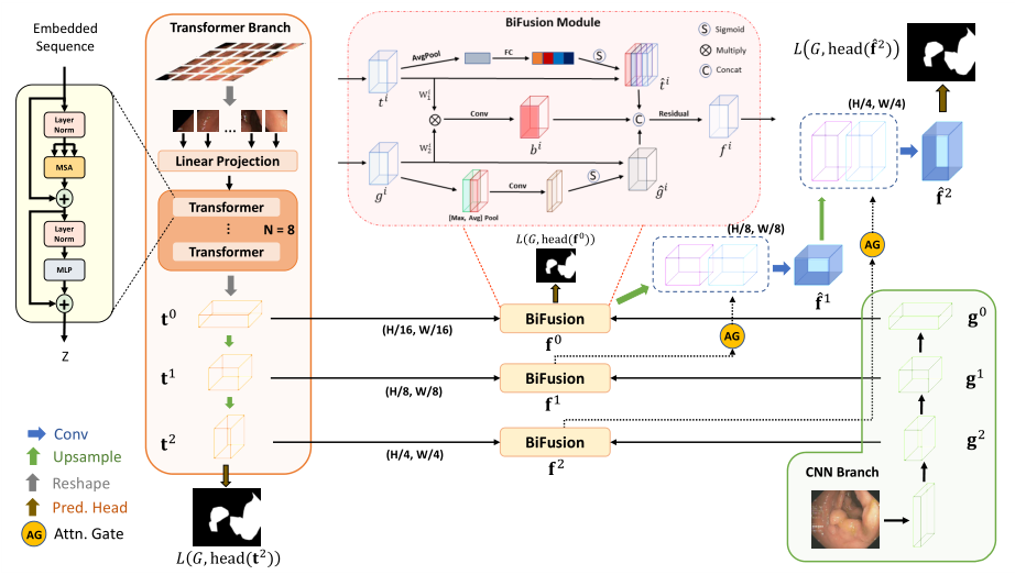 语义分割FCN FPN UNet DeepLab HRNet SETR TransFuse..._hrnet fpn-CSDN博客