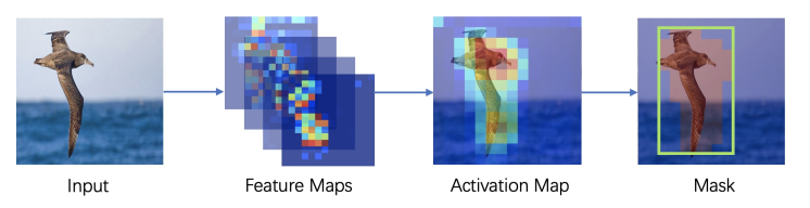 Multi-branch and Multi-scale Attention Learning for Fine-Grained Visual Categorization 论文学习-CSDN博客