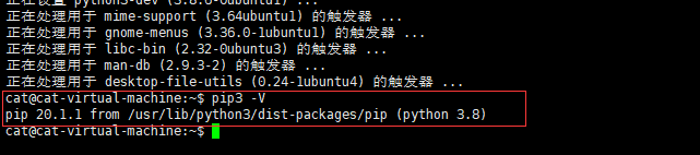 Ubuntu20.10中无法安装pip3的解决办法。_ubuntu 20 pip无效-CSDN博客