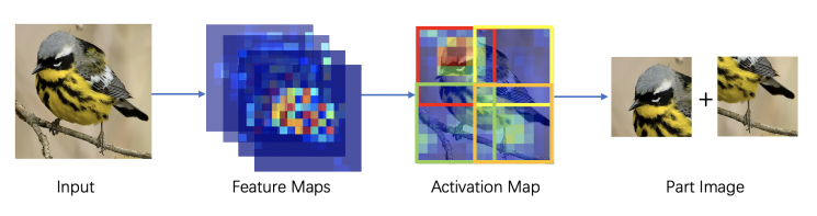 Multi-branch and Multi-scale Attention Learning for Fine-Grained Visual Categorization 论文学习-CSDN博客