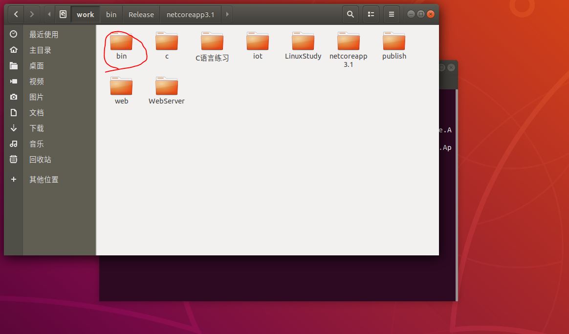 如何将基于.NET core的程序部署在linux系统上运行_linux系统如何部署winform程序-CSDN博客
