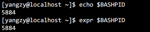父shell和子shell父子shell Csdn博客 