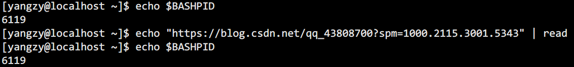 父shell和子shell_父子shell-CSDN博客