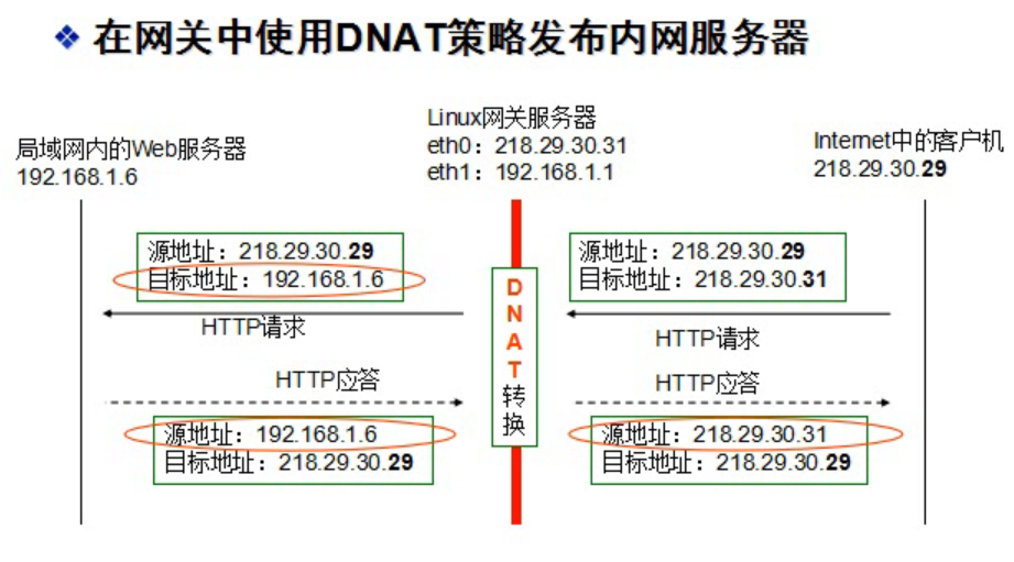 NAT--SNAT、DNAT实验详解！！！！！_dant规则验证-CSDN博客