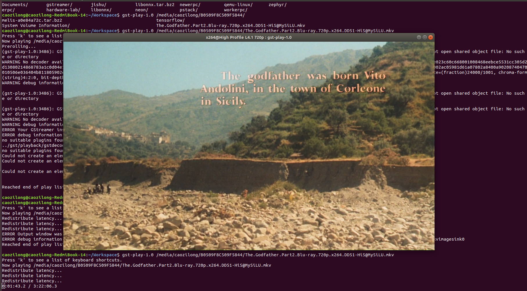 Gstreamer Pipeline管道可视化_gstreamer pipeline 源码-CSDN博客