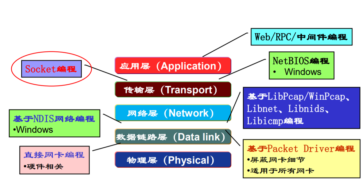 计网学习笔记十socket编程 Csdn博客 