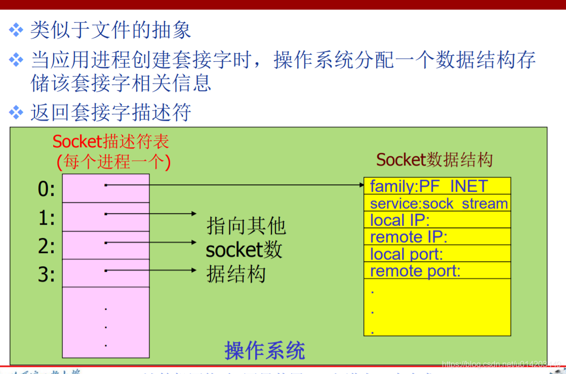 计网学习笔记十socket编程 Csdn博客