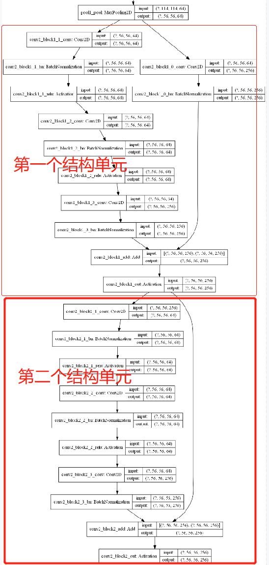 tensorflow2.2中定义的ResNet和ResneXt中的bottleneck结构-CSDN博客