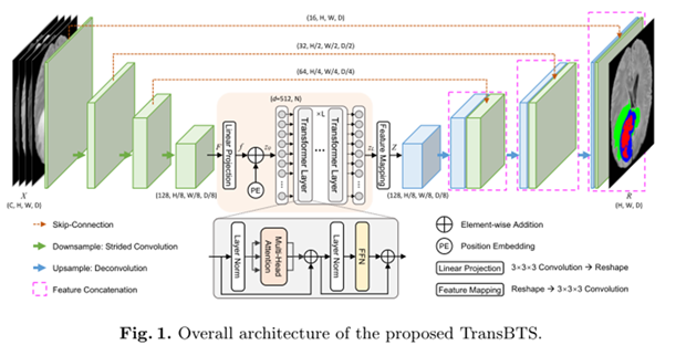 [深度学习论文笔记] TransBTS: Multimodal Brain Tumor Segmentation Using Transformer 基于Transformer的多模态脑肿瘤 ...