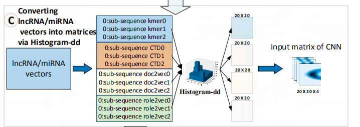LncMirNet:基于核糖核酸序列深度学习预测LncRNA miRNA相互作用_预测lncrna可能结合mirna-CSDN博客