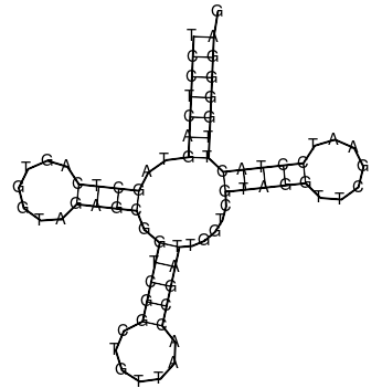 绘制tRNAscan-SE生成的二级结构_trna二级结构如何绘画-CSDN博客