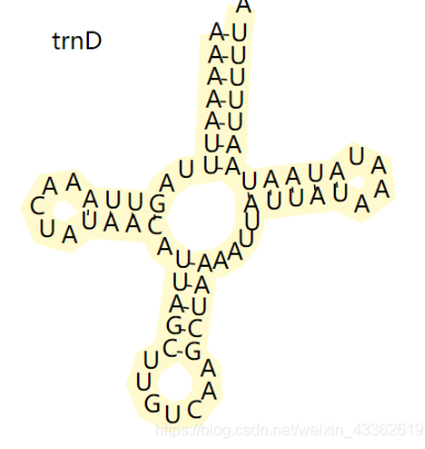 绘制tRNAscan-SE生成的二级结构_trna二级结构如何绘画-CSDN博客