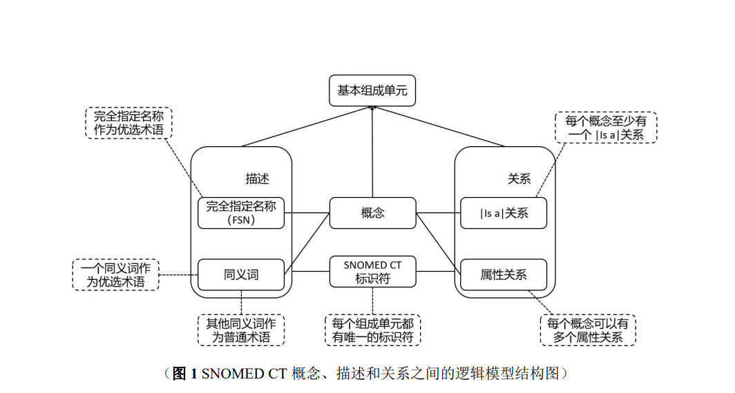 snomed ct-CSDN博客