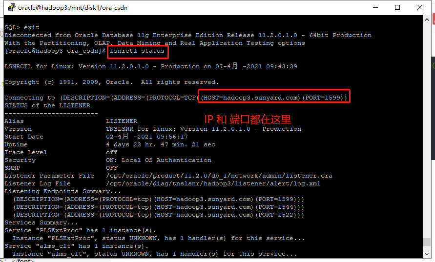 Linux服务器创建Oracle实例，命令行安装详解_linux下命令模式给oracle数据库新增一个实例-CSDN博客