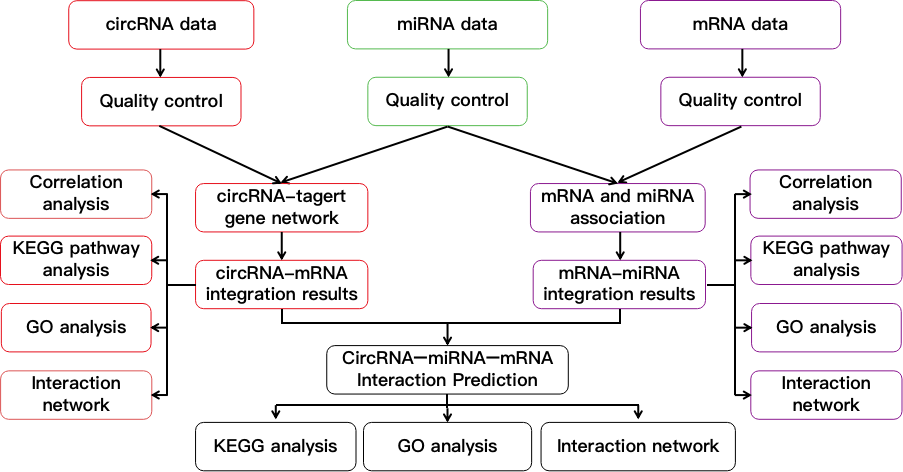 CircRNA–miRNA–mRNA调控网络分析_circrna-mirna-mrna-CSDN博客