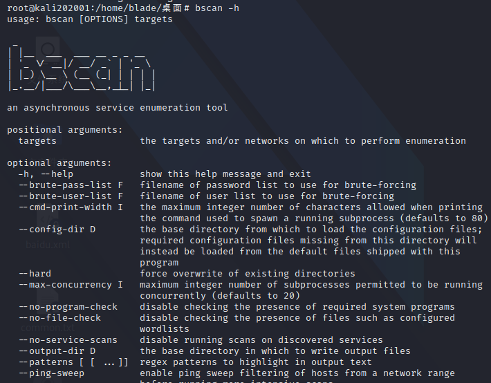 HTTP扫描器Bscan_从入坑到放弃_bscan interconnection-CSDN博客