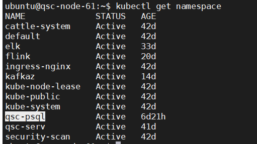 基于K8S进行postgresql数据备份&恢复_kubectl exec命令进入psql-CSDN博客