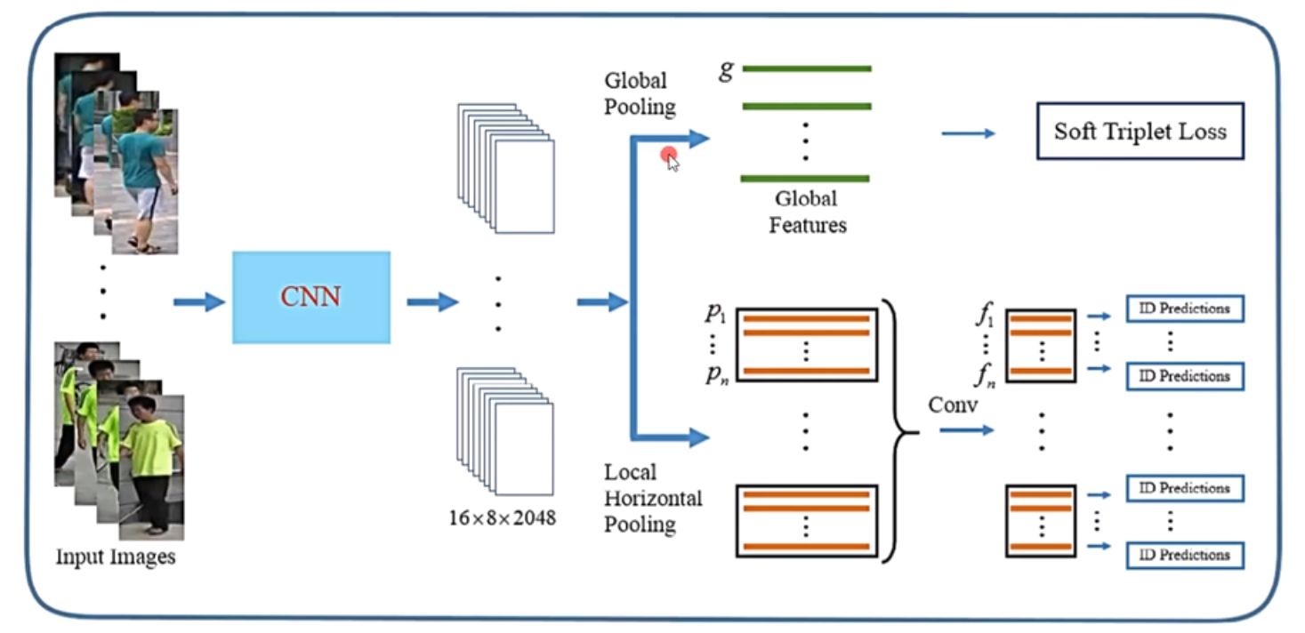 ReID基础 | 全局特征和局部特征-CSDN博客