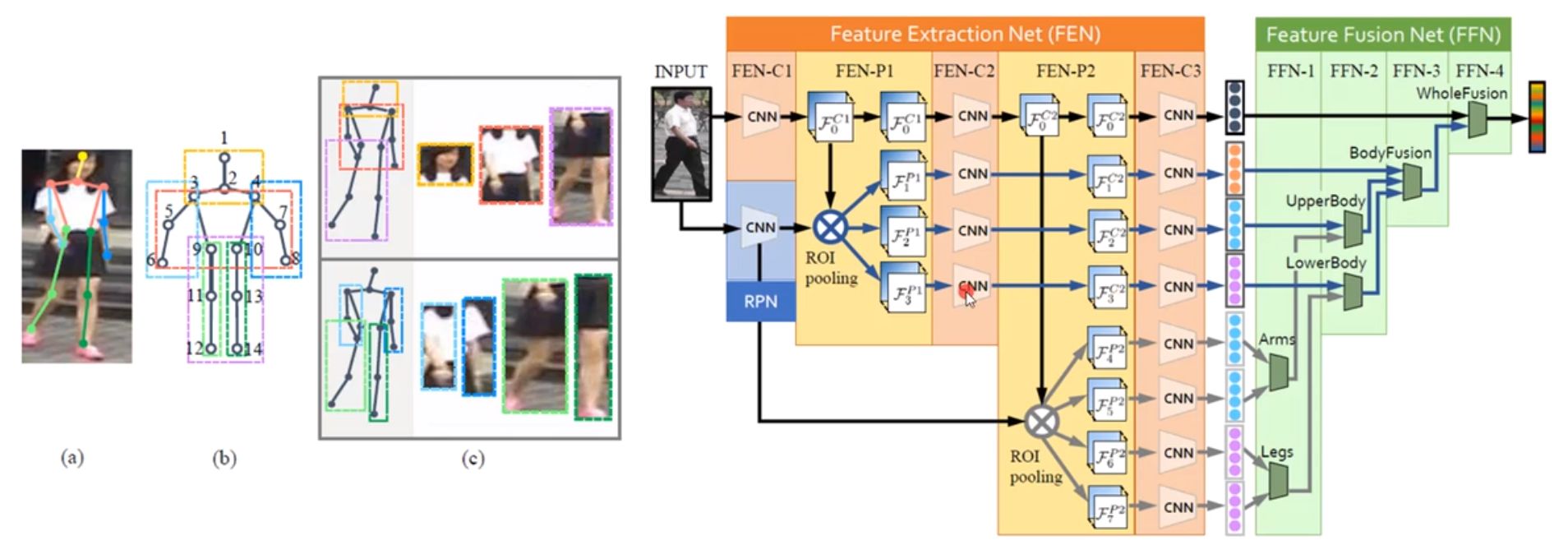 ReID基础 | 全局特征和局部特征-CSDN博客