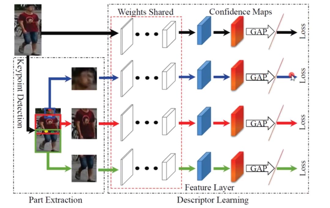 ReID基础 | 全局特征和局部特征-CSDN博客