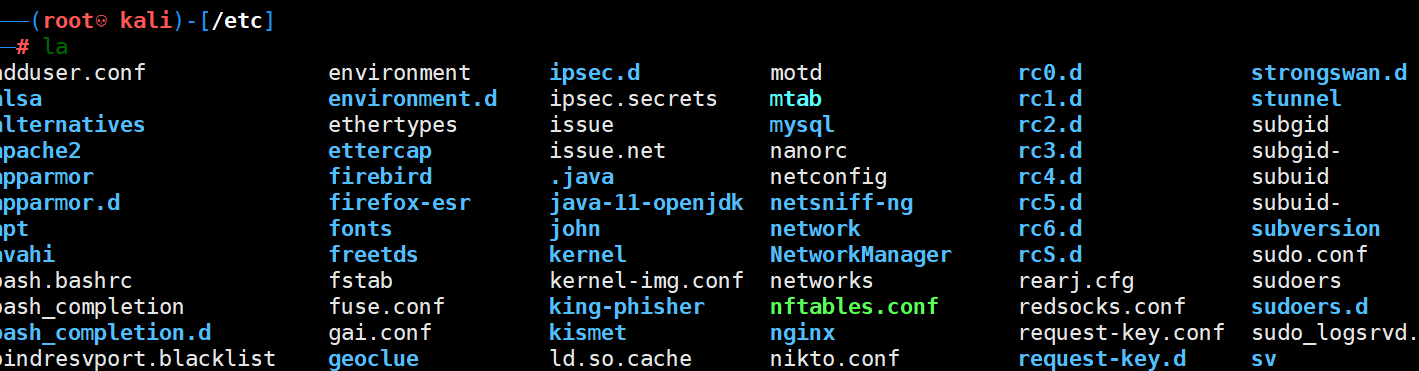 kali /etc目录下没有 resolv.conf dns 配置文件问题的解决_centos7文件resolv.conf文件空白-CSDN博客