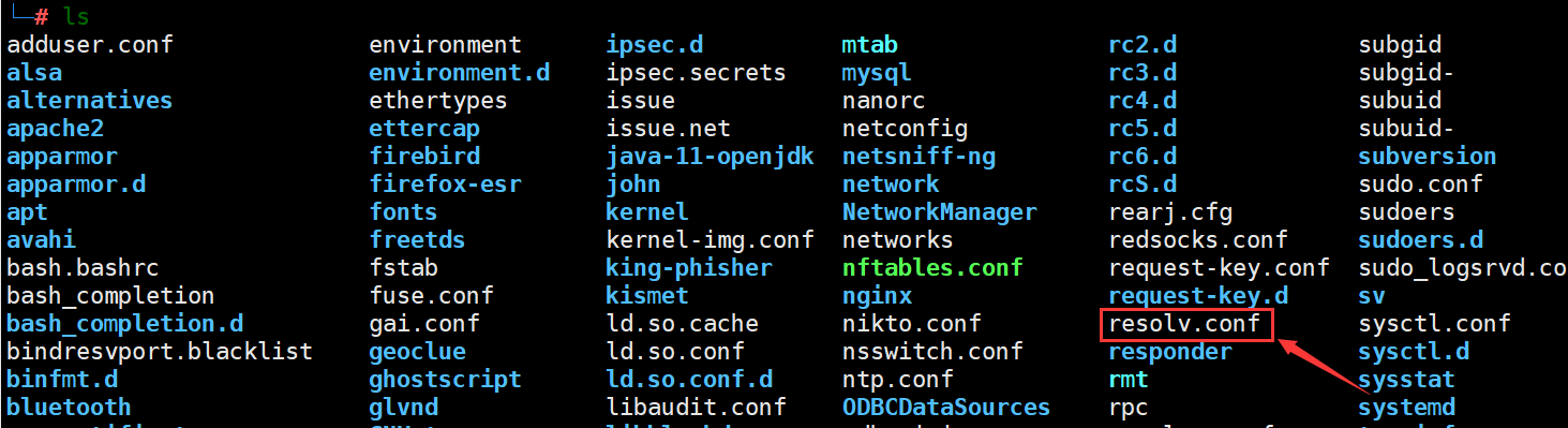 kali /etc目录下没有 resolv.conf dns 配置文件问题的解决_centos7文件resolv.conf文件空白-CSDN博客