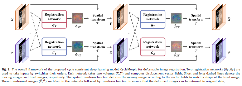 Deep Learning Based Registration文章阅读(七)《CycleMorph: Cycle consistent unsupervised deformable ...