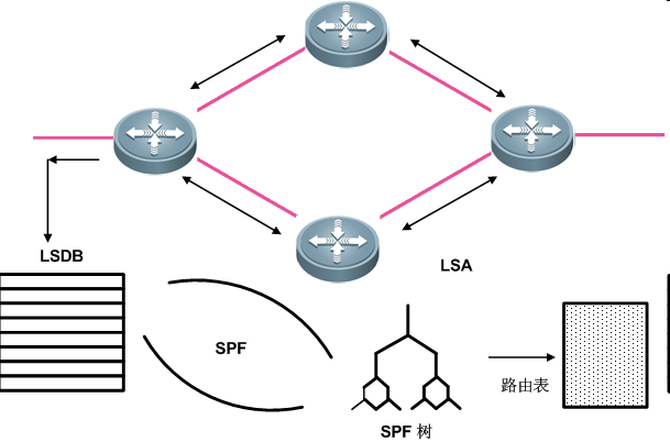 ospf协议基础详解_ospf network-CSDN博客