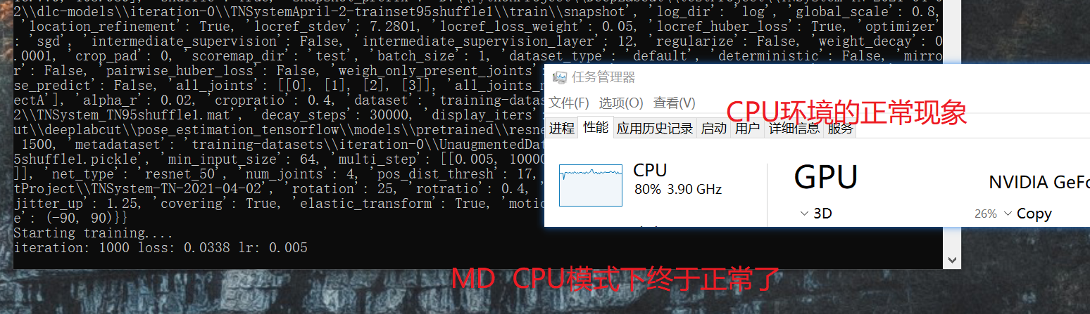 在linux上和window上运行deeplabcut，使用GPU（有点乱，还没整理）_deeplabcut-live-CSDN博客