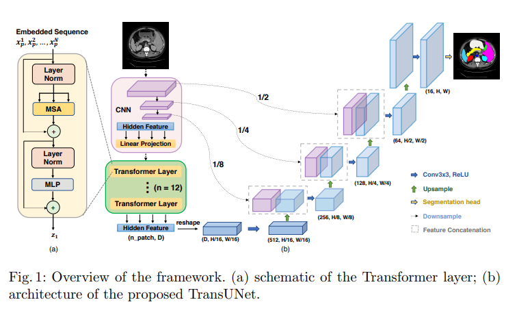 Github复现之TransUNet（Transformer用于语义分割）_transunet复现-CSDN博客