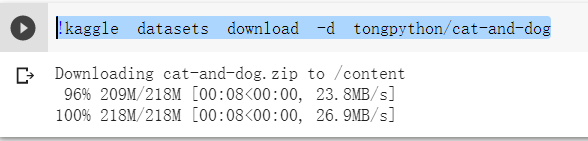 Colab之kaggle填坑记（非常详实）_kaggle 401 - unauthorized-CSDN博客