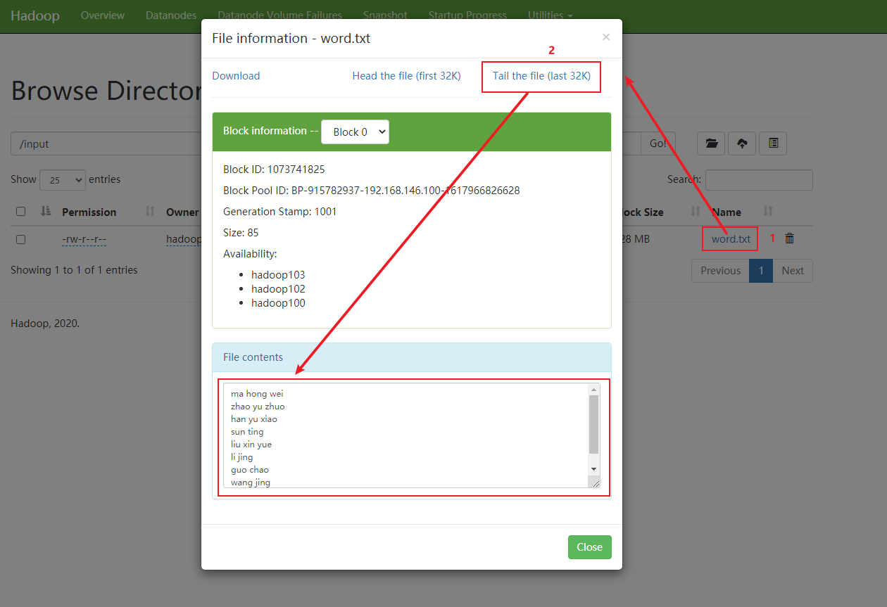 hadoop的安装与测试_怎么查虚拟机有没有hadoop-CSDN博客