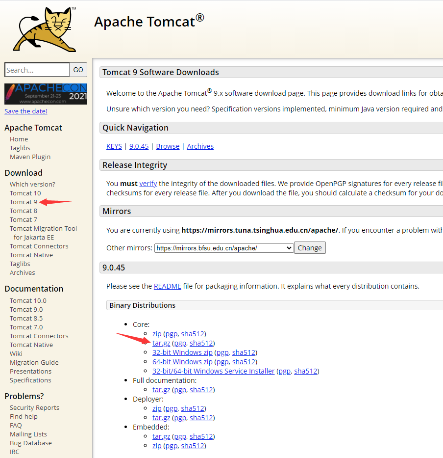 Linux安装tomcat9045apache Tomcat 9045下载 Csdn博客 