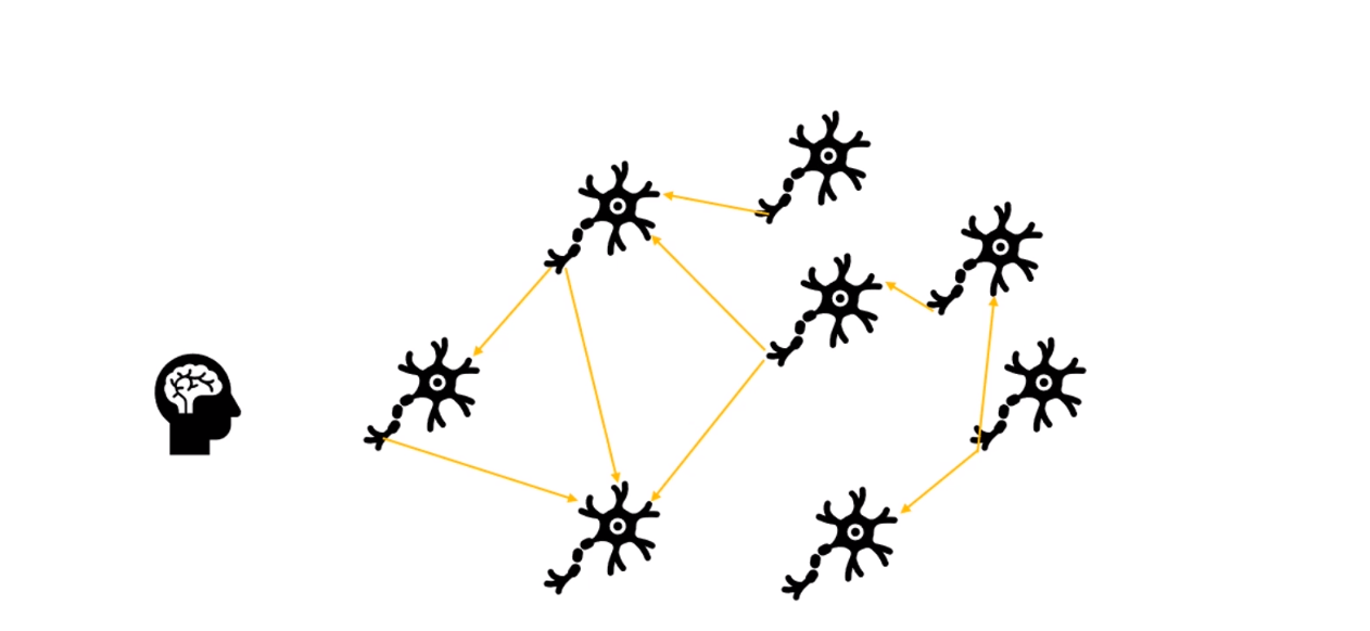神经网络ANN算法——鸢尾花案例python实现_ann 算法原理-CSDN博客