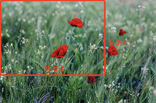 Android自定义view（三）：Canvas绘制图片_android canvas画图片-CSDN博客