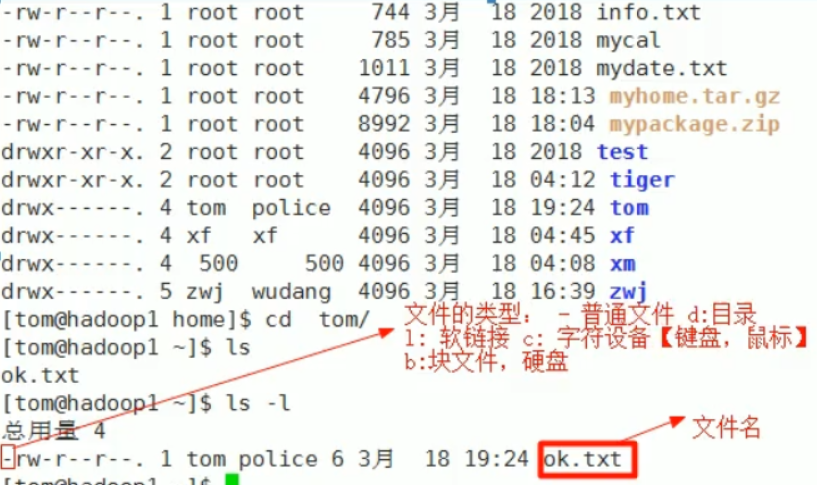 Linux文件类型及ugo模型 Csdn博客 