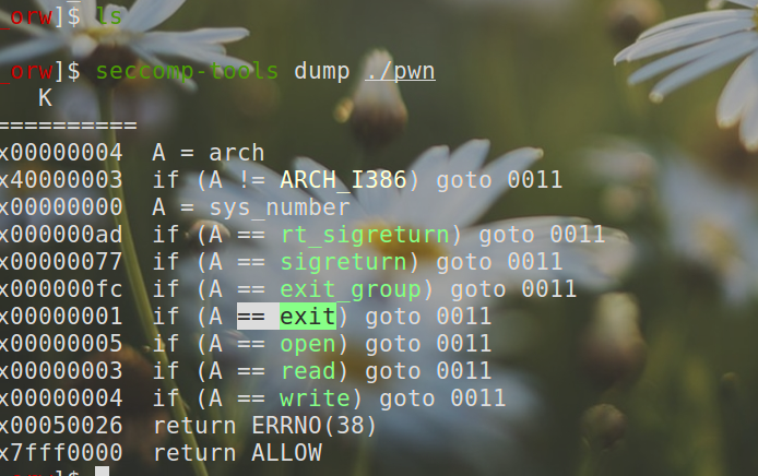 如何使用seccomp-tools-CSDN博客