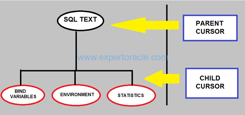 Oracle动态视图v$sql的说明和使用-CSDN博客