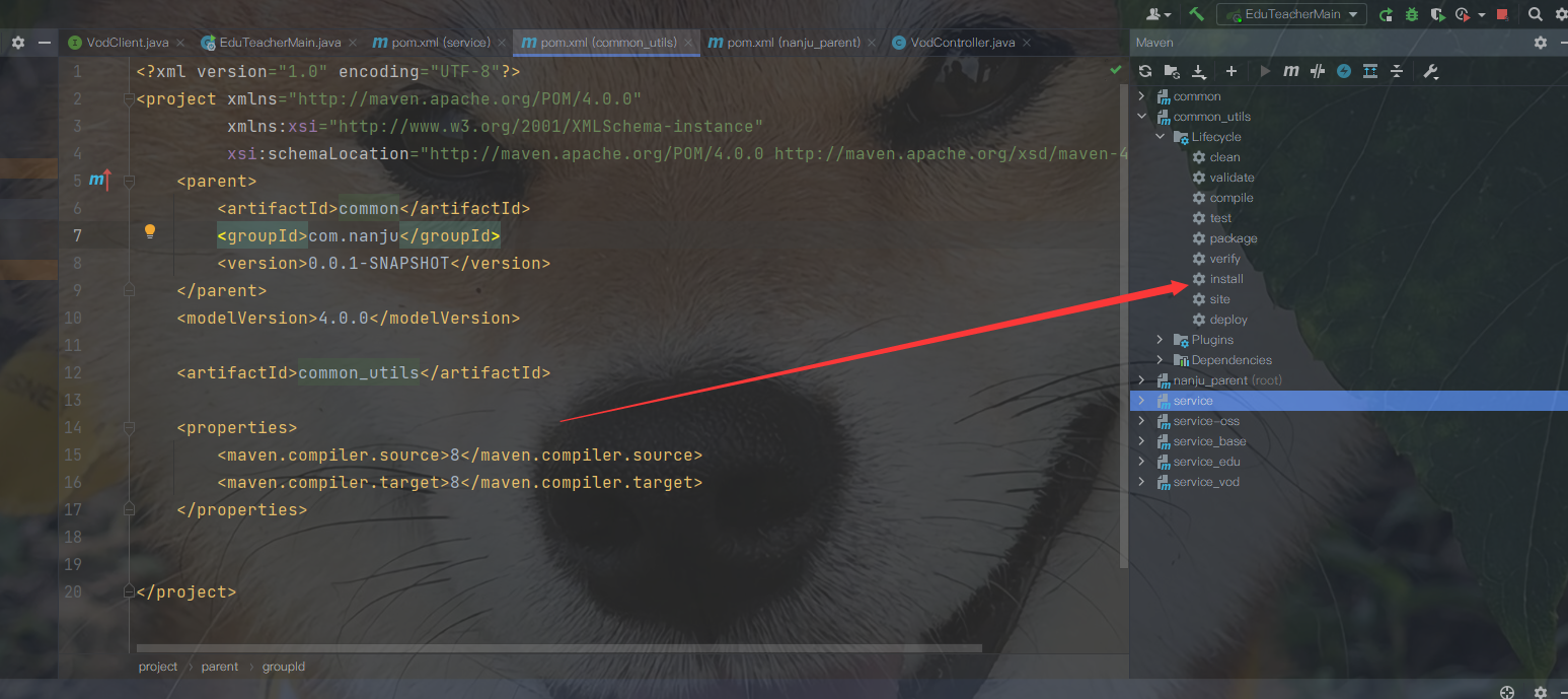 关于 Could not find artifact ...:pom:1.0-SNAPSHOT 的问题！_could not find artifact pom-CSDN博客
