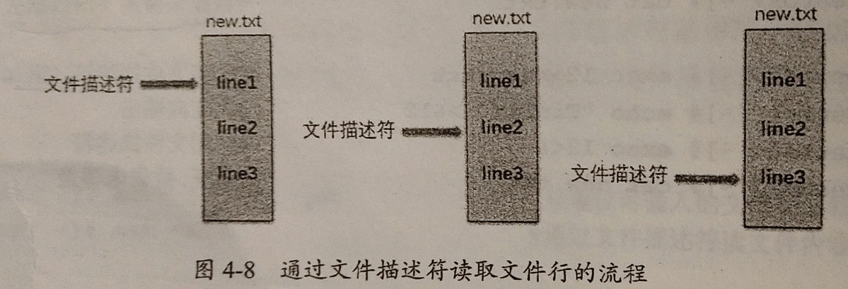 Linux文件描述符详解linux如何判断文件是系统自带的还是后创的 Csdn博客 