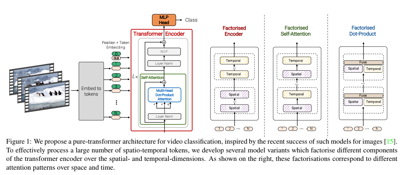 CVPR 2021 ViViT: A Video Vision Transformer-CSDN博客