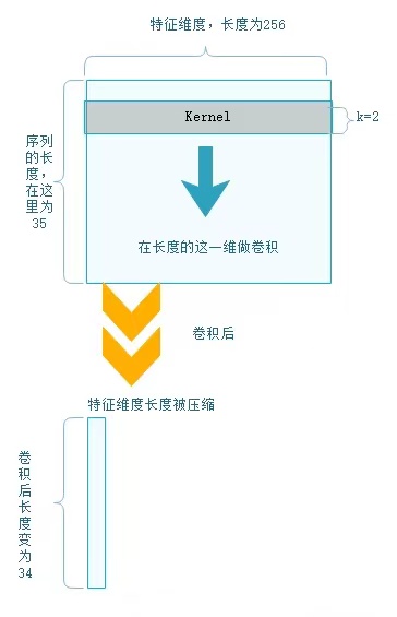 torch.nn.Conv1d图文解析_torch conv1-CSDN博客