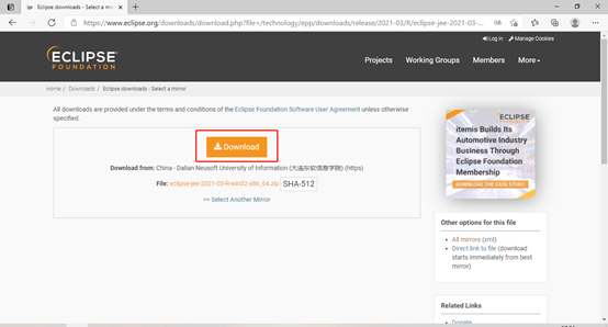 eclipse Java 8 安装教程与配置 最详细_eclipse/alpine_jdk8_柚子Star的博客-CSDN博客