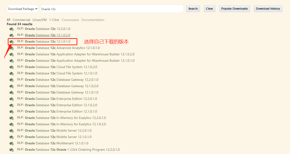 Linux环境下oracle安装 图文详解 Linux安装oracle Csdn博客