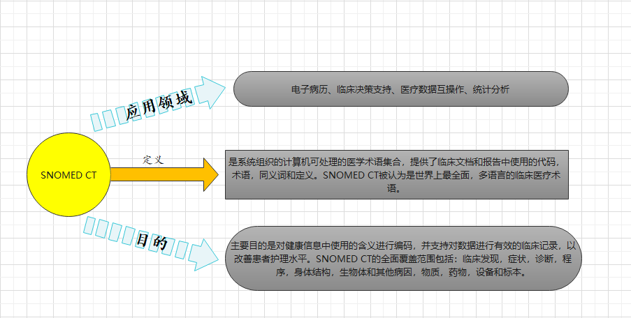 snomed ct-CSDN博客